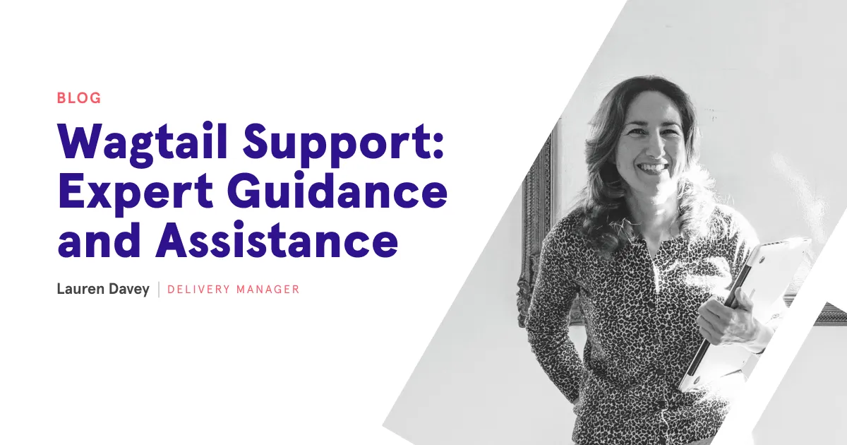 Wagtail Support For Developers | Torchbox