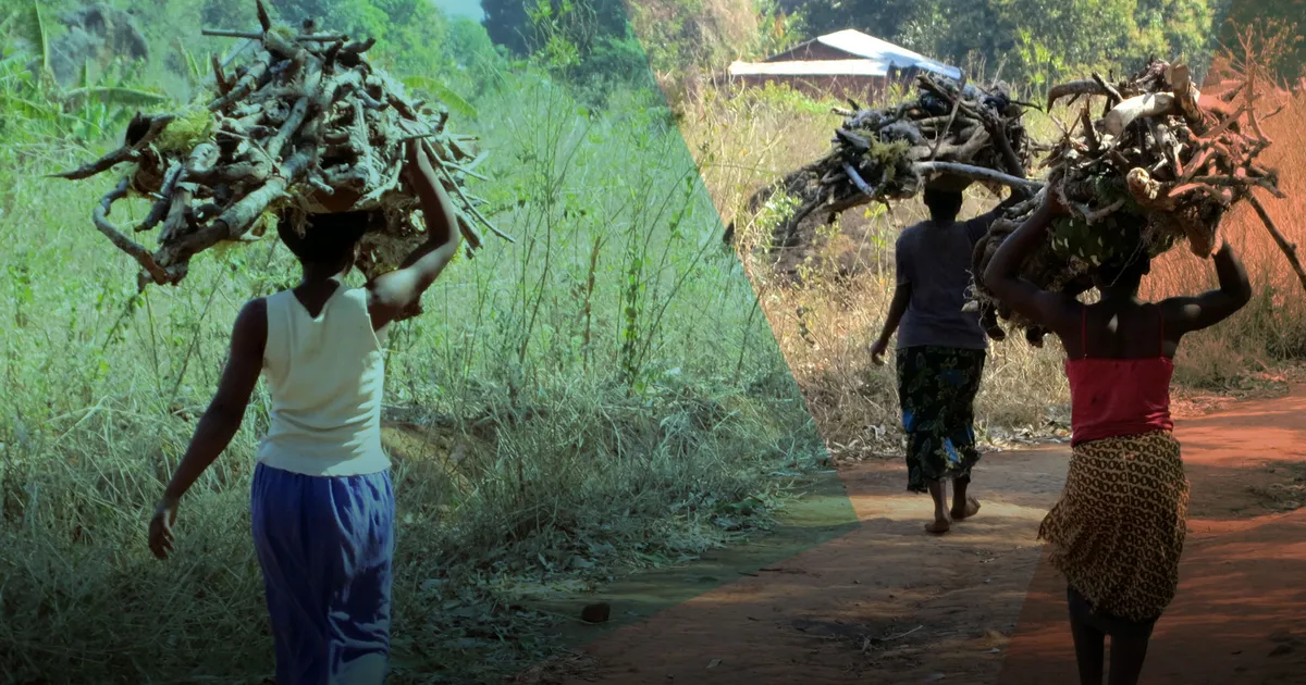 Africa Progress Panel Case Study | Torchbox