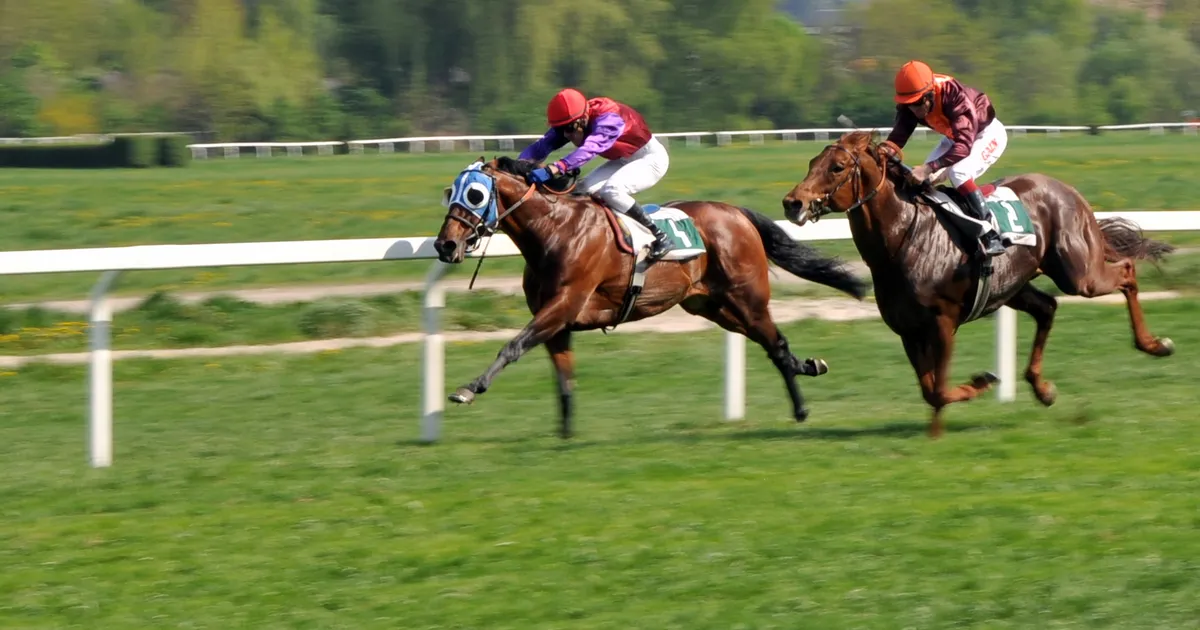 Rich Text Fields and Faster Horses | Torchbox